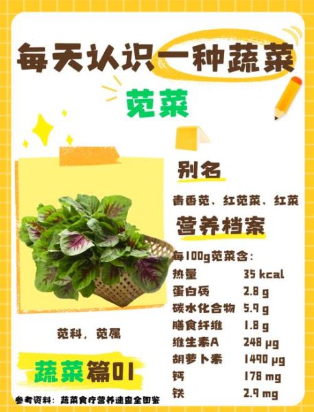 苋菜的营养价值及功效_苋菜怎么吃最健康-第1张图片-山城妙识