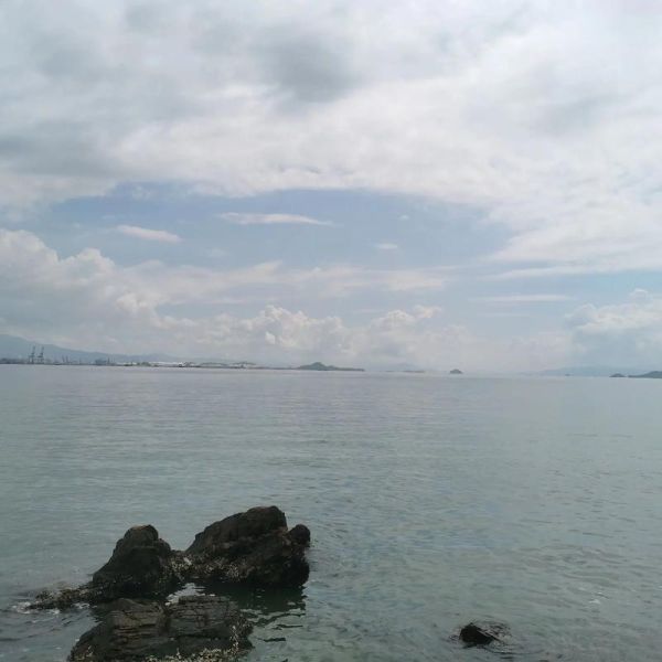 细鳞鱼多少钱一斤_细鳞鱼怎么做好吃-第2张图片-山城妙识