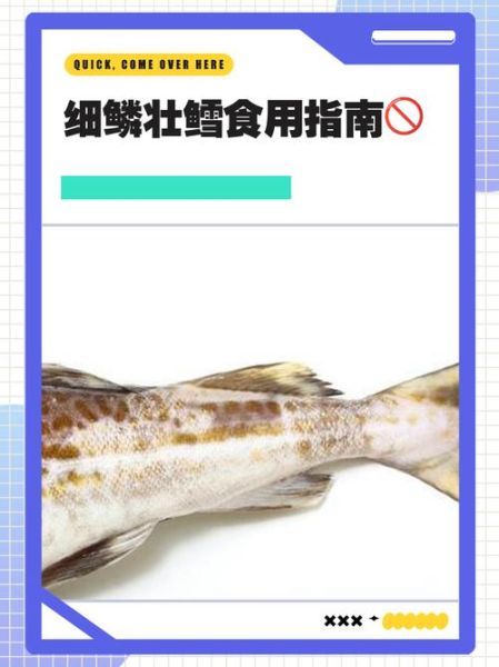 细鳞鱼多少钱一斤_细鳞鱼怎么做好吃-第3张图片-山城妙识