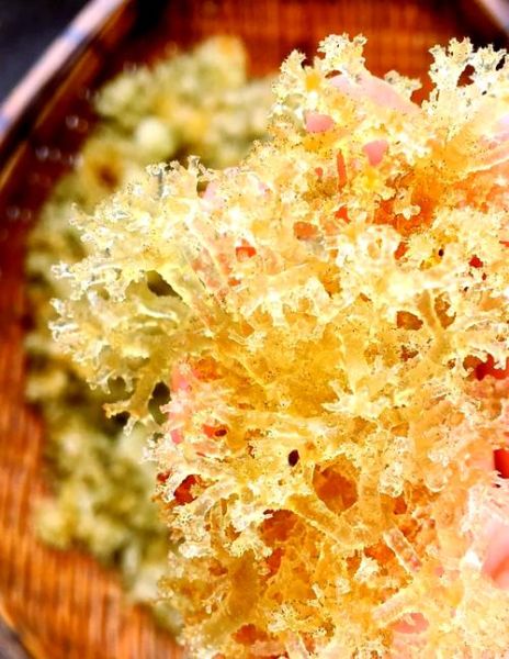 竹燕窝的功效与作用_竹燕窝的禁忌人群有哪些-第1张图片-山城妙识