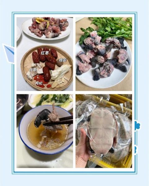 怎样炖甲鱼汤_炖甲鱼汤步骤窍门-第3张图片-山城妙识 怎样炖甲鱼汤_炖甲鱼汤步骤窍门-第3张图片-山城妙识