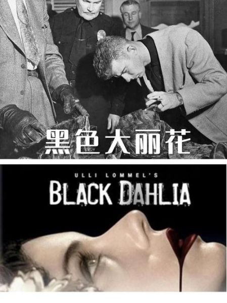 黑色大丽花真实图片_为什么被禁-第2张图片-山城妙识