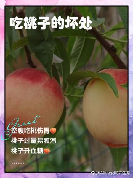 桃子什么人不能吃_桃子禁忌人群-第3张图片-山城妙识 桃子什么人不能吃_桃子禁忌人群-第3张图片-山城妙识