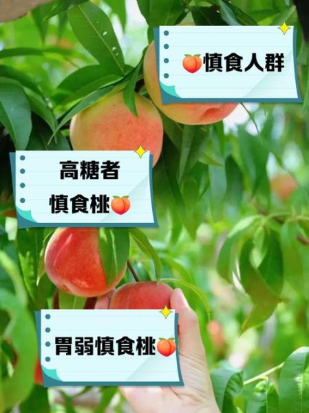 桃子什么人不能吃_桃子禁忌人群-第1张图片-山城妙识 桃子什么人不能吃_桃子禁忌人群-第1张图片-山城妙识