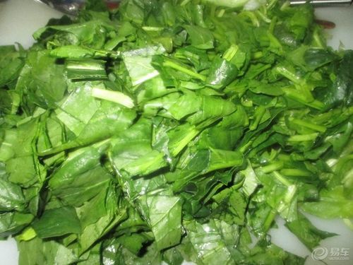 菠菜论坛社区怎么玩_菠菜论坛社区安全吗-第1张图片-山城妙识 菠菜论坛社区怎么玩_菠菜论坛社区安全吗-第1张图片-山城妙识