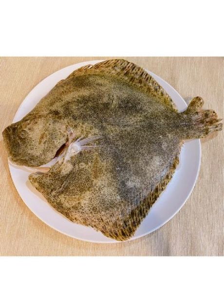 多宝鱼的营养价值有哪些_多宝鱼适合什么人吃-第1张图片-山城妙识