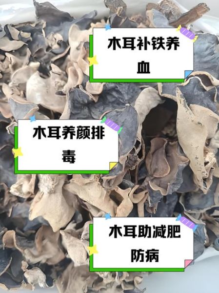 木耳的功效与作用_木耳怎么吃最养生-第3张图片-山城妙识