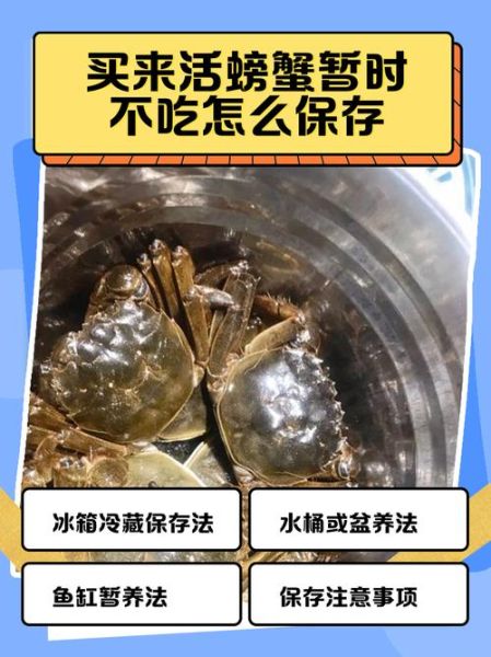 活螃蟹怎么处理_刚买的活螃蟹怎么保存-第1张图片-山城妙识