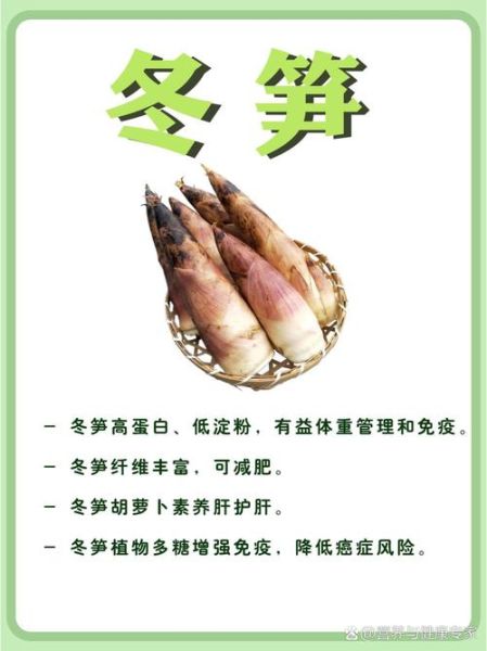 冬笋的功效与作用_冬笋怎么吃最营养-第3张图片-山城妙识