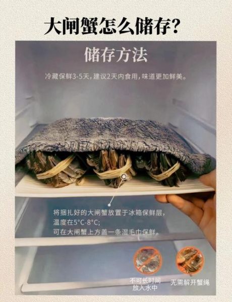 活螃蟹怎么处理_刚买的活螃蟹怎么保存-第3张图片-山城妙识
