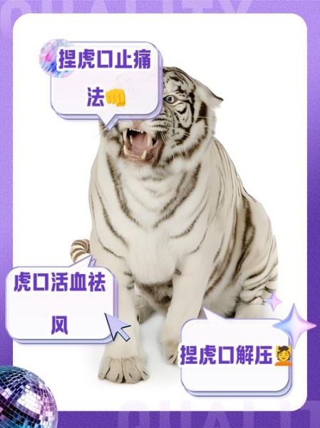 虎肉能吃吗_吃虎肉犯法吗-第2张图片-山城妙识 虎肉能吃吗_吃虎肉犯法吗-第2张图片-山城妙识