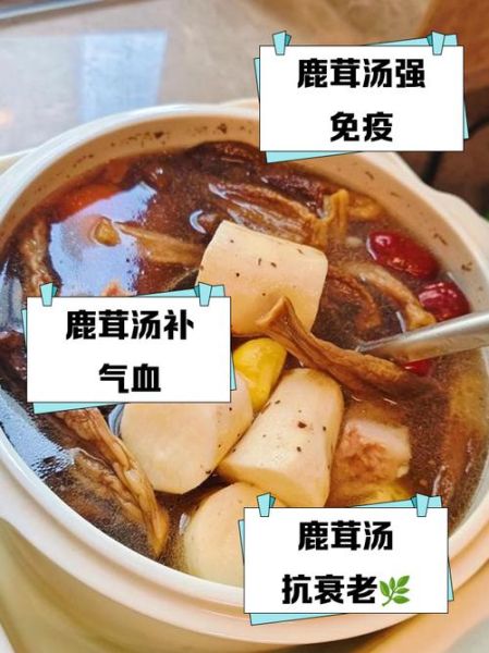 麂子肉炖汤怎么做好吃_麂子肉炖汤的做法窍门-第3张图片-山城妙识