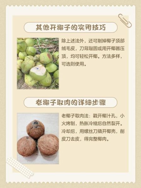 老椰子怎么打开取肉_老椰子取肉最简单的方法-第3张图片-山城妙识