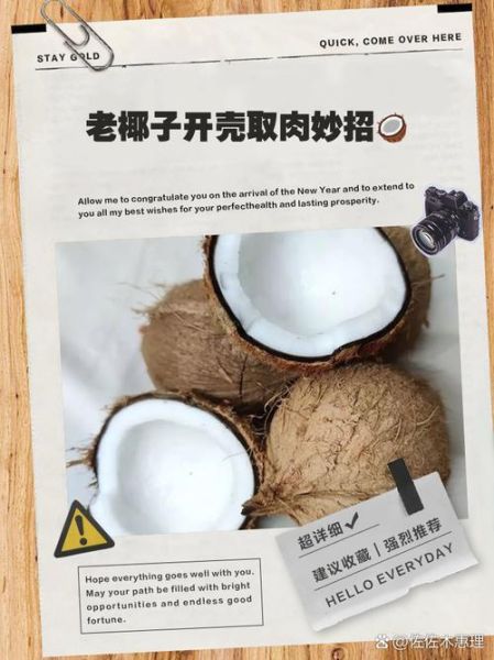 老椰子怎么打开取肉_老椰子取肉最简单的方法-第1张图片-山城妙识