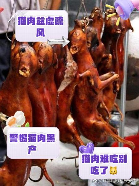 红烧猫肉怎么做_红烧猫肉正宗做法-第1张图片-山城妙识