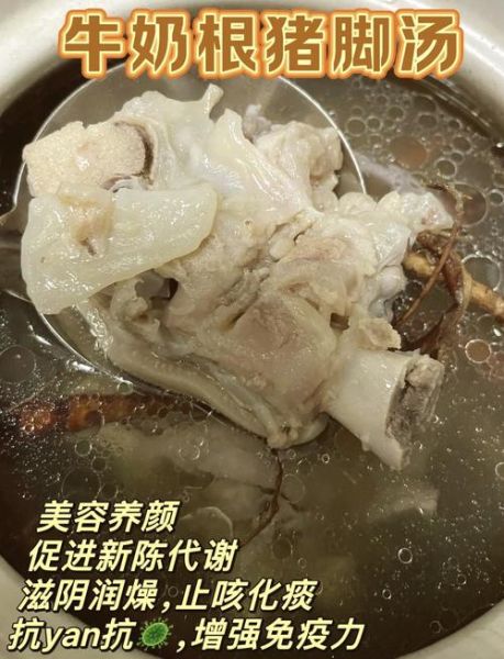 清炖猪脚汤怎么做_清炖猪脚汤功效-第1张图片-山城妙识 清炖猪脚汤怎么做_清炖猪脚汤功效-第1张图片-山城妙识