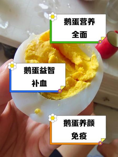 鹅蛋治咳嗽偏方_鹅蛋的作用与功效-第1张图片-山城妙识