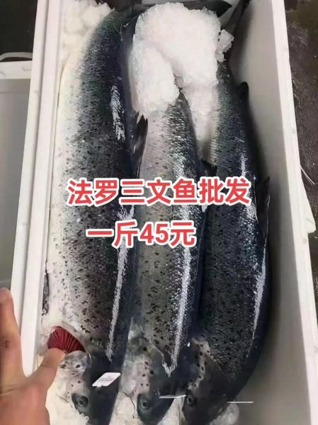 进口三文鱼价格_多少钱一斤-第1张图片-山城妙识 进口三文鱼价格_多少钱一斤-第1张图片-山城妙识
