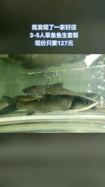 草鱼多少钱一斤_草鱼价格最新行情-第1张图片-山城妙识 草鱼多少钱一斤_草鱼价格最新行情-第1张图片-山城妙识