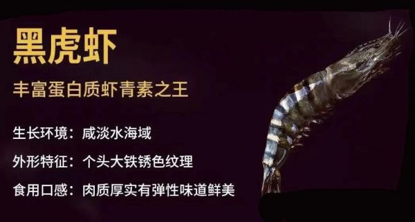 大头虾是海虾还是河虾_大头虾图片怎么分辨-第2张图片-山城妙识 大头虾是海虾还是河虾_大头虾图片怎么分辨-第2张图片-山城妙识