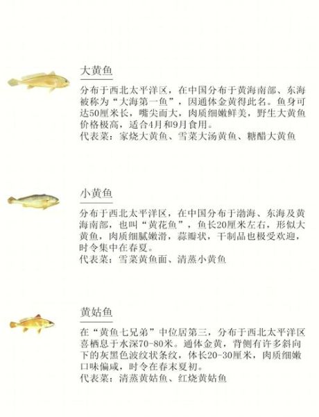 黄鱼和黄花鱼的区别_哪种更好吃-第3张图片-山城妙识 黄鱼和黄花鱼的区别_哪种更好吃-第3张图片-山城妙识