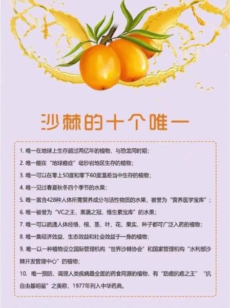 沙棘的功效与作用怎么吃_沙棘的正确吃法大全-第2张图片-山城妙识