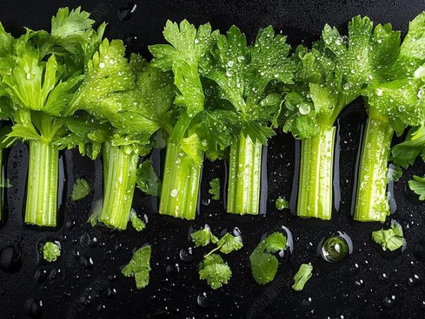 芹菜图片大全大图_芹菜高清图鉴-第1张图片-山城妙识