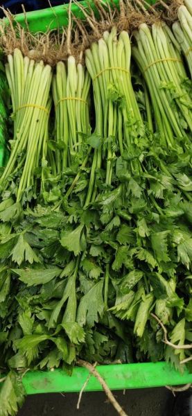 芹菜图片大全大图_芹菜高清图鉴-第2张图片-山城妙识