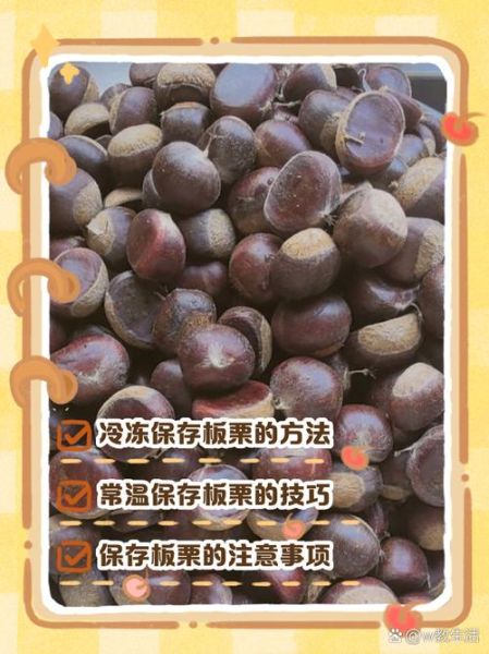 板栗怎么保存不会长虫_板栗放冰箱能防虫吗-第3张图片-山城妙识