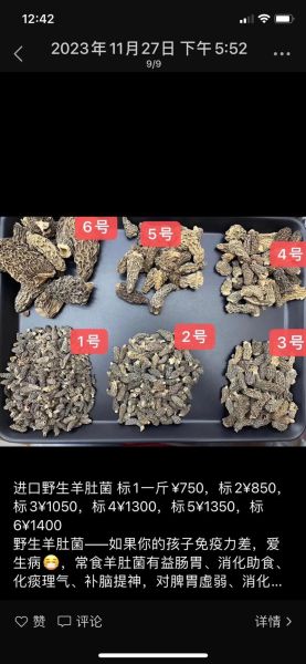 羊肚菌多少钱一斤_羊肚菌价格走势分析-第1张图片-山城妙识 羊肚菌多少钱一斤_羊肚菌价格走势分析-第1张图片-山城妙识