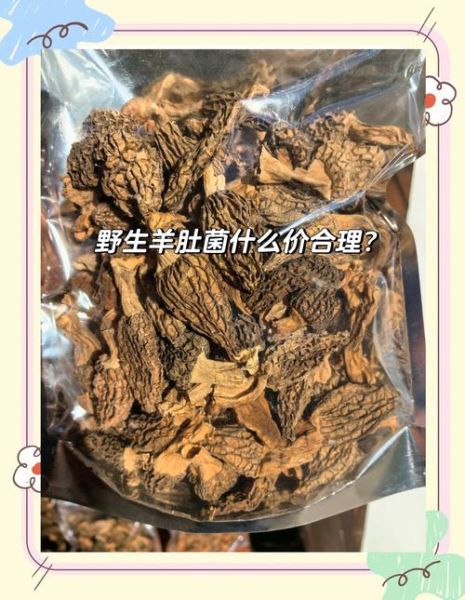 羊肚菌多少钱一斤_羊肚菌价格走势分析-第3张图片-山城妙识 羊肚菌多少钱一斤_羊肚菌价格走势分析-第3张图片-山城妙识