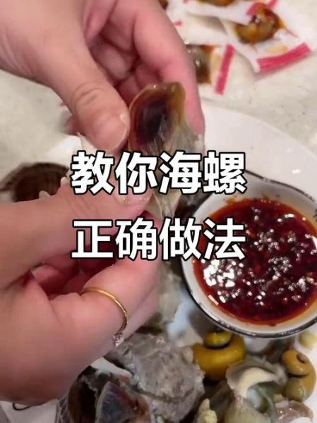 海螺怎么吃东西_海螺进食方式揭秘-第2张图片-山城妙识