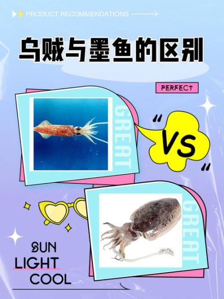 乌贼喷墨汁的机理_乌贼墨汁成分有哪些-第1张图片-山城妙识