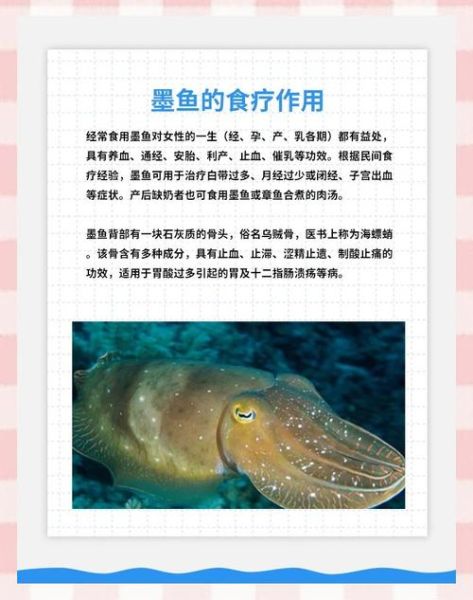 乌贼喷墨汁的机理_乌贼墨汁成分有哪些-第3张图片-山城妙识