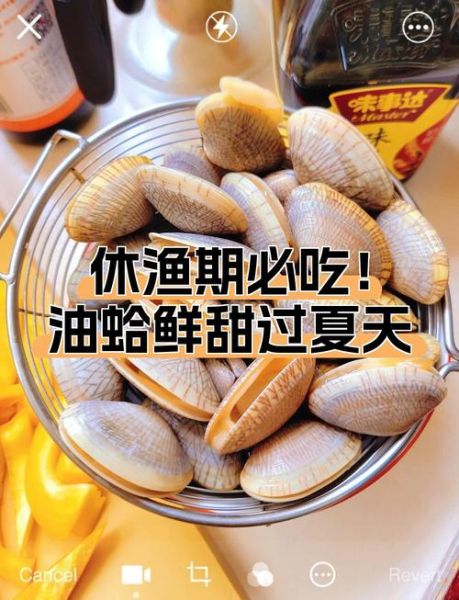 油蛤的营养价值_油蛤的功效与作用-第3张图片-山城妙识