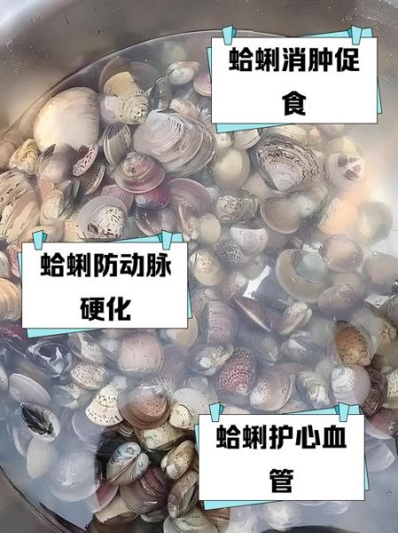 油蛤的营养价值_油蛤的功效与作用-第2张图片-山城妙识