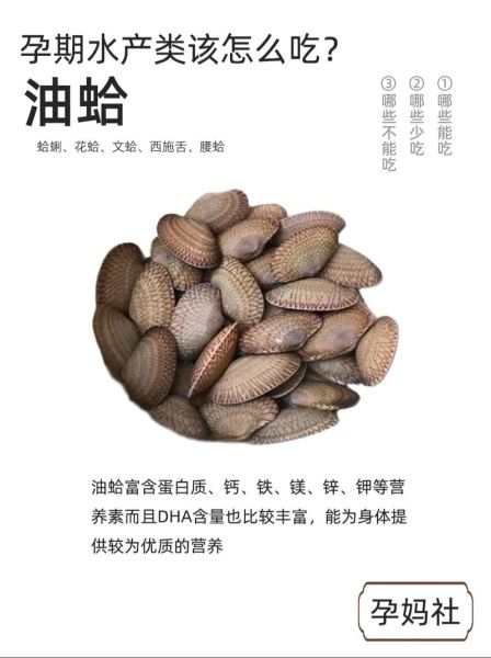 油蛤的营养价值_油蛤的功效与作用-第1张图片-山城妙识