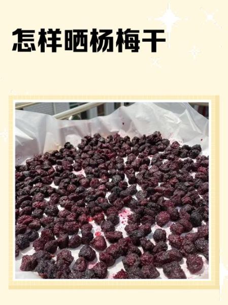 杨梅干怎么做_晒干的杨梅干保存多久-第3张图片-山城妙识