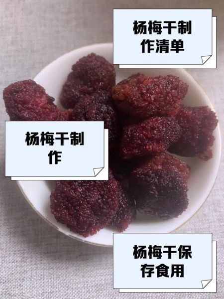 杨梅干怎么做_晒干的杨梅干保存多久-第1张图片-山城妙识