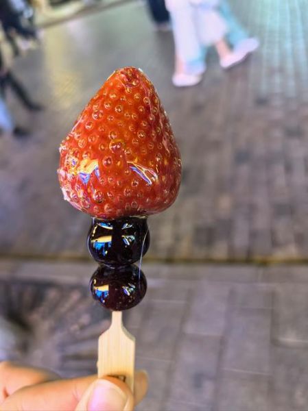 冰糖葫芦图片怎么拍好看_冰糖葫芦图片拍摄技巧-第2张图片-山城妙识 冰糖葫芦图片怎么拍好看_冰糖葫芦图片拍摄技巧-第2张图片-山城妙识