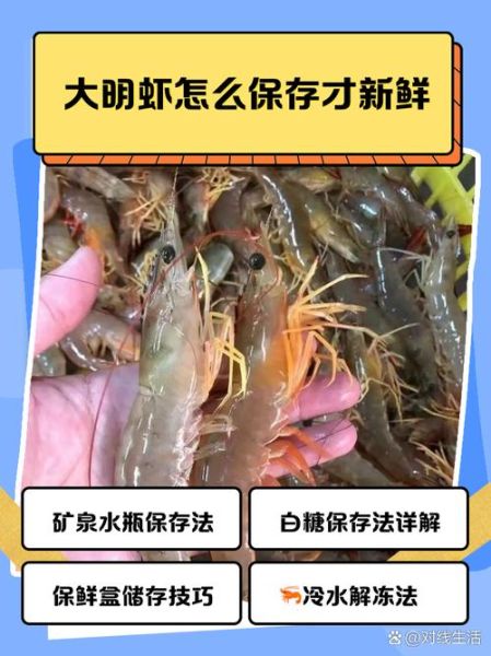 大明虾多少钱一斤_大明虾价格为什么波动这么大-第1张图片-山城妙识