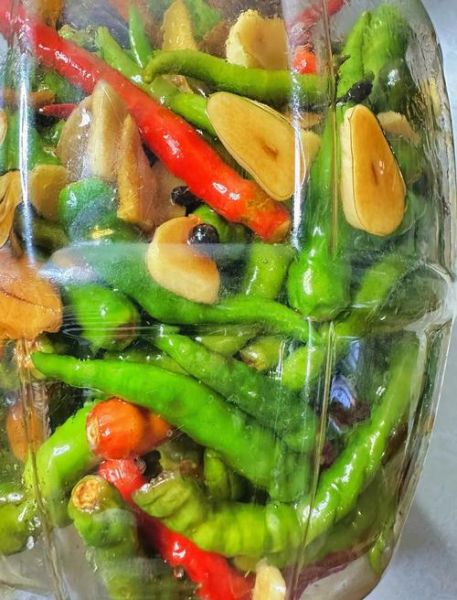 腌制辣椒怎么做_腌制辣椒的正确方法-第3张图片-山城妙识