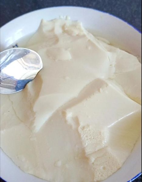 内酯豆腐怎么做好吃_内酯豆腐最好吃做法-第2张图片-山城妙识