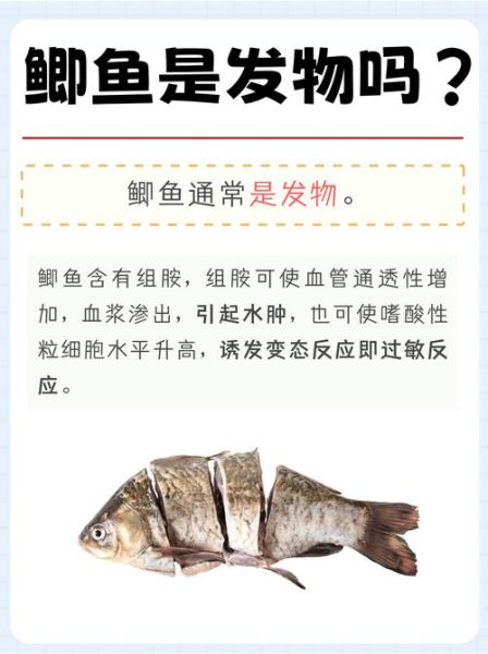 鲫鱼是发物吗_什么人不能吃鲫鱼-第1张图片-山城妙识