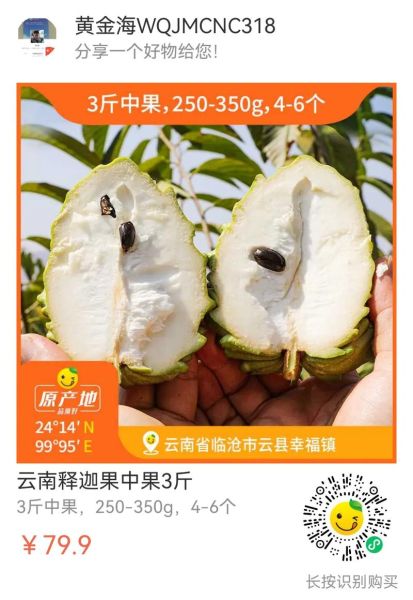 番荔枝和释迦的区别_番荔枝是释迦吗-第2张图片-山城妙识