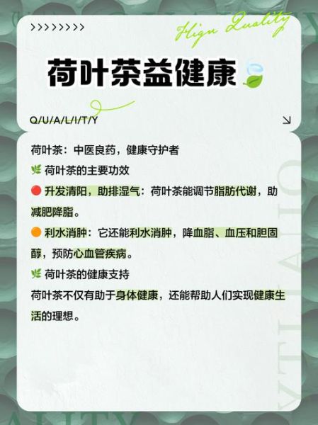 荷叶茶真的可以减肥吗_荷叶茶减肥原理-第3张图片-山城妙识