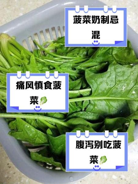 菠菜不能和什么一起吃_菠菜与哪些食物相克-第2张图片-山城妙识