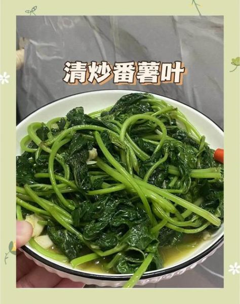 红薯叶怎么炒好吃又嫩_红薯叶炒几分钟才熟-第3张图片-山城妙识