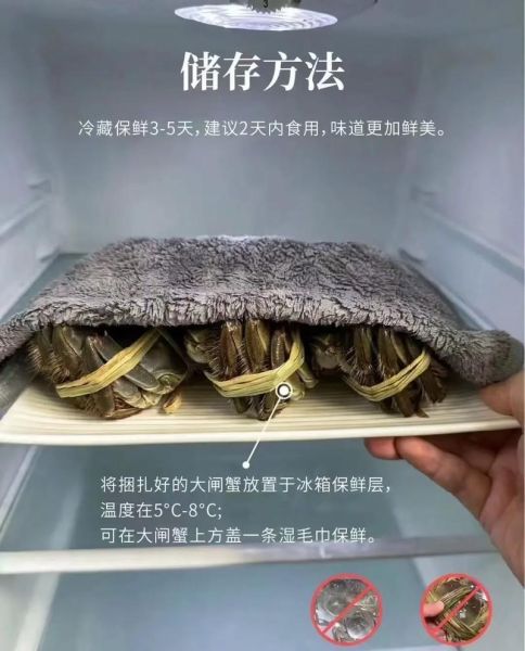 大闸蟹养殖技术视频教程_新手如何养大闸蟹-第3张图片-山城妙识