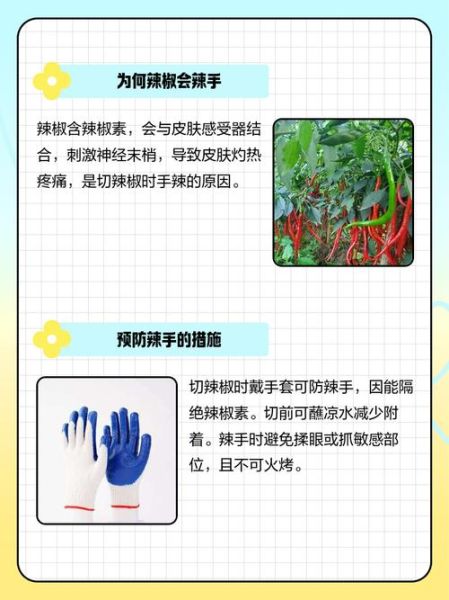 手被辣椒辣到怎么办_手被辣痛一招解决-第3张图片-山城妙识